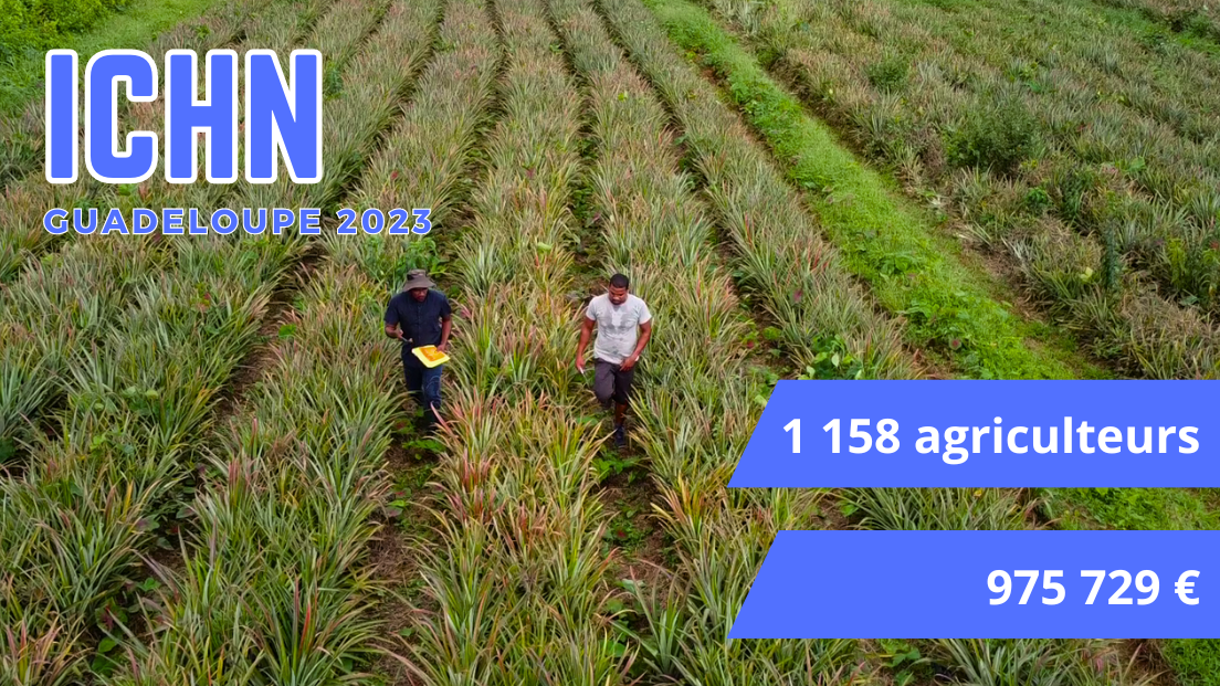 ICHN 2023 : premiers paiements le 16 octobre | DAAF Guadeloupe